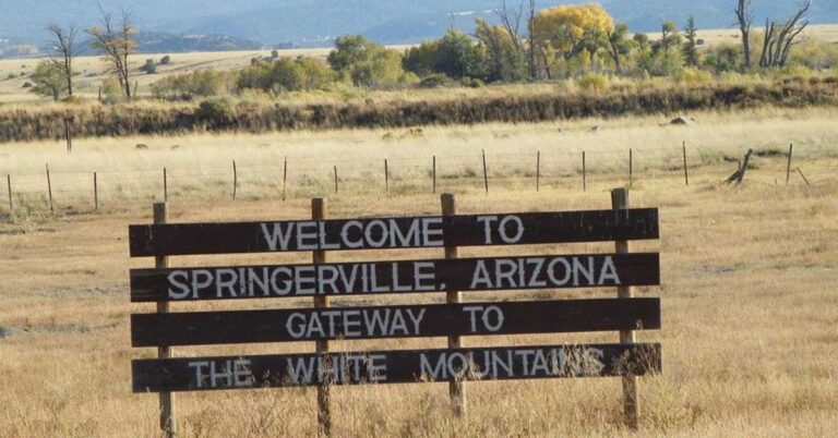Springerville Arizona - White Mountains Online